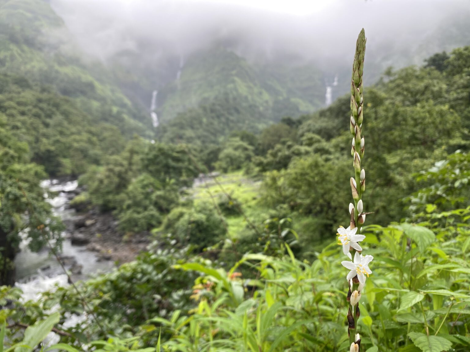 Guide to Kalu Waterfall trek in Malshej Ghat From Mumbai and Pune – Trekraw