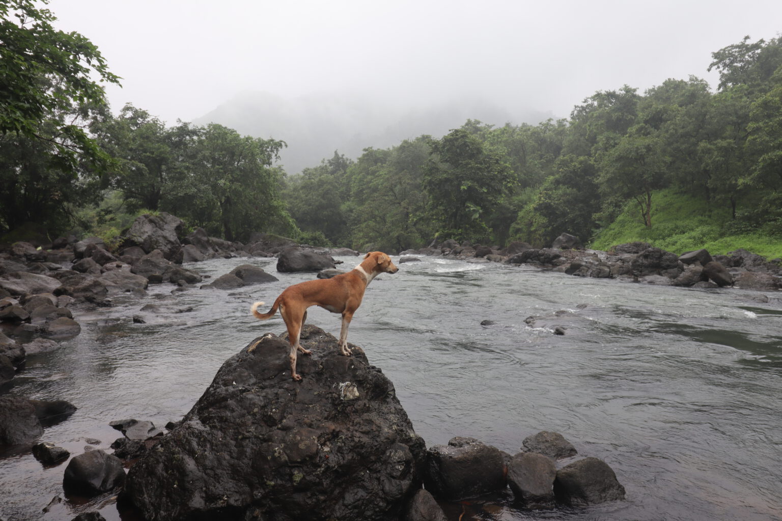 Guide to Kalu Waterfall trek in Malshej Ghat From Mumbai and Pune – Trekraw